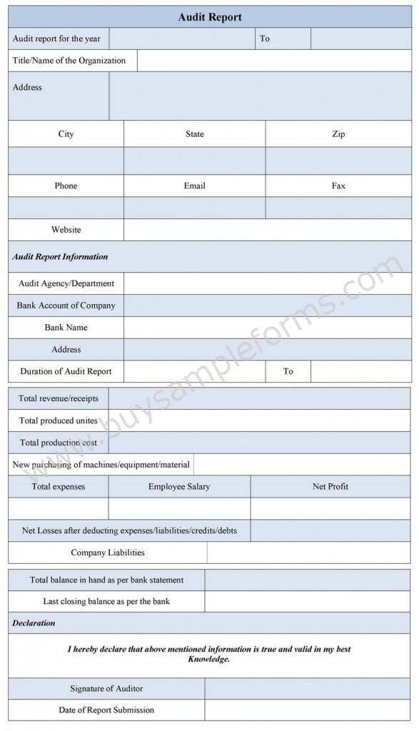 Audit Report Form - Sample Forms