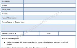 Financial Statement Template - Sample Forms