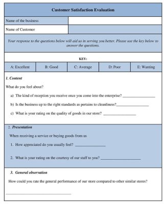 Customer Satisfaction Evaluation Form Template, Example