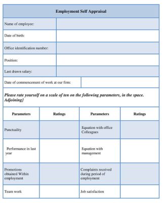 Employment Self Appraisal Form Template Word Doc - Example