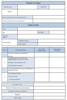 Financial Accounting Form Template | Word Doc Download