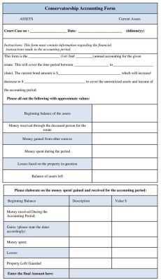 Conservatorship Accounting Form Template Word Doc