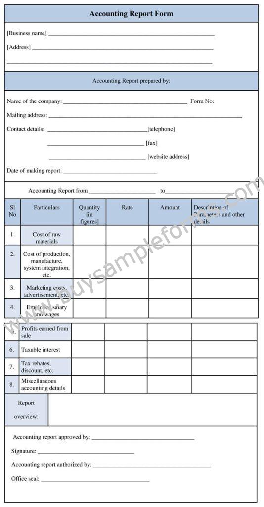 Accounting Report Form Template Example Format Accounting Report Form Template Example Format